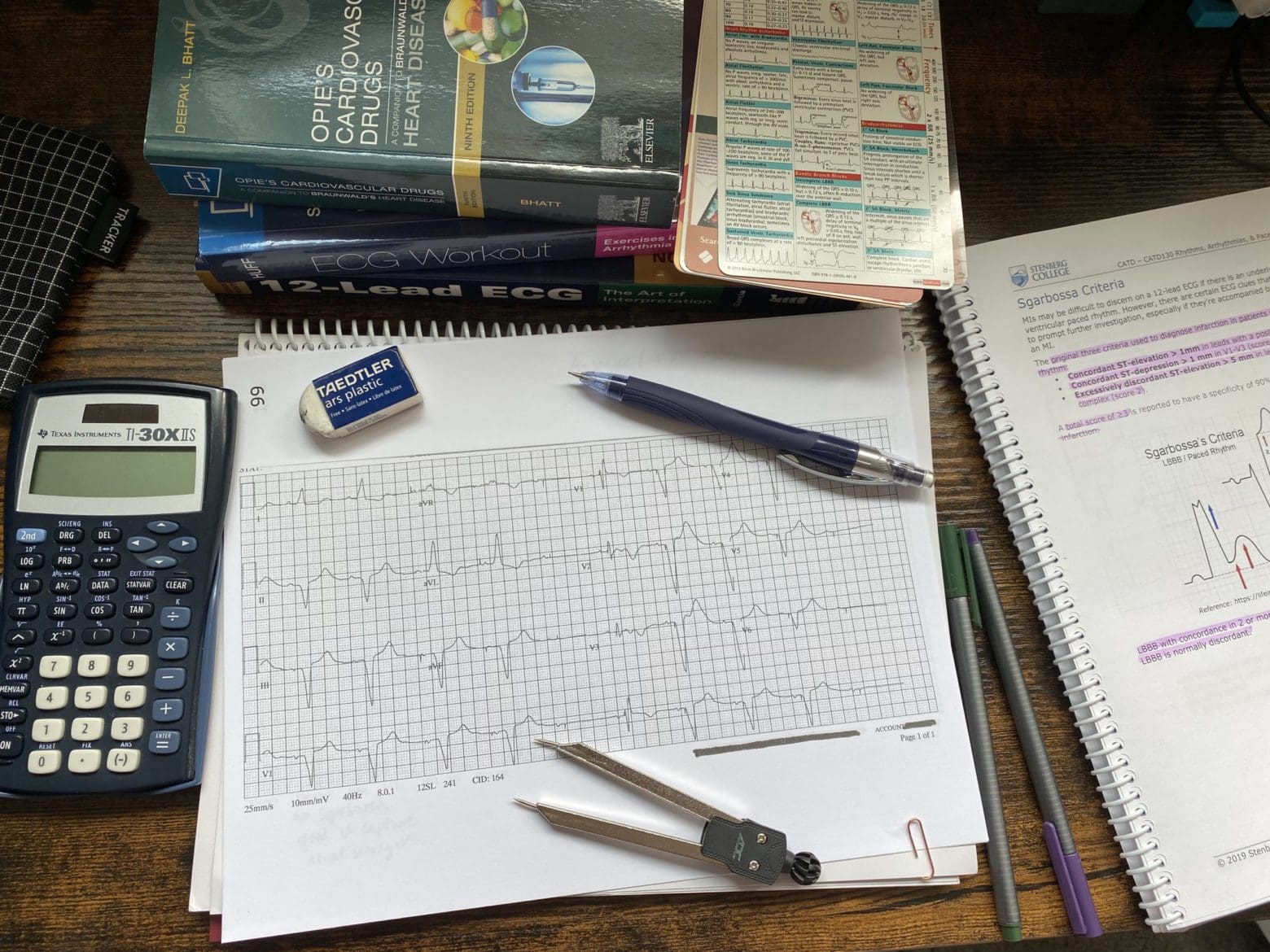 Taryn Followed Her Heart to CT | Sternberg College