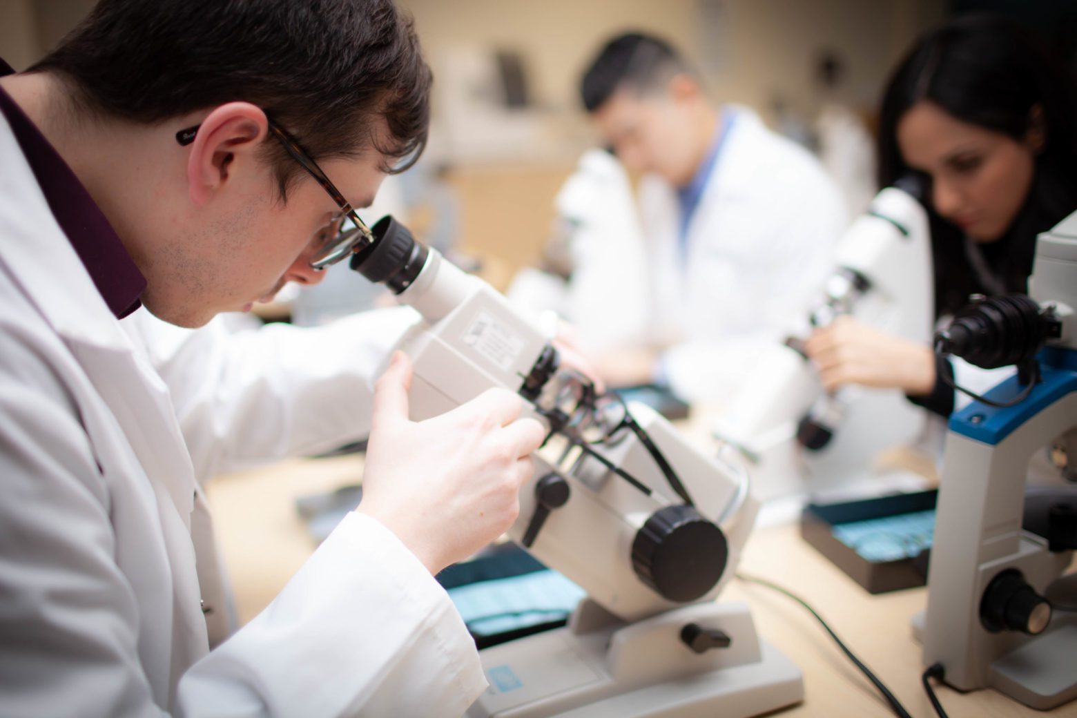 An eye for success | Stenberg College